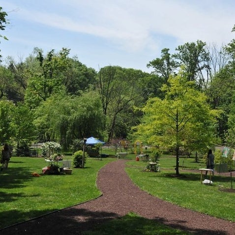 Photos at Meadowbrook Bird Sanctuary - Meadowbrook, PA