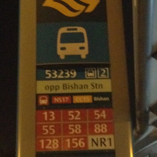 Bus Stop 53239 (Opp Bishan Station)