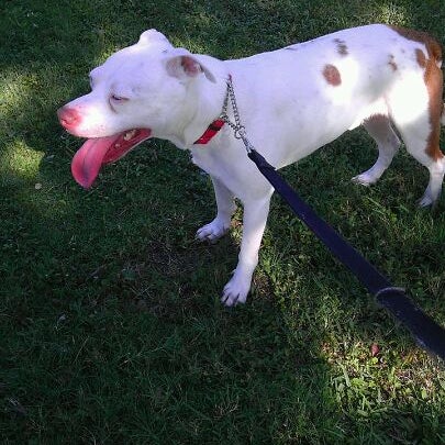 Photos at Demetree Park - Orlando, FL