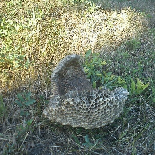 Hunya - Other Great Outdoors in Hunya