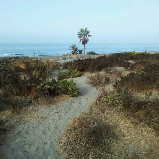 Dunas de la playa las Lindes - el Morche, Andalucía
