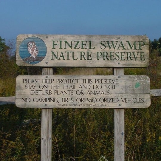 Finzel Swamp - Finzel, MD