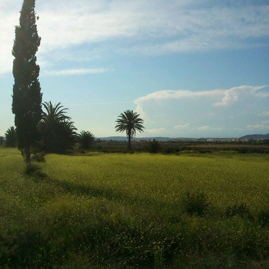 El Altet - 2 tips from 702 visitors