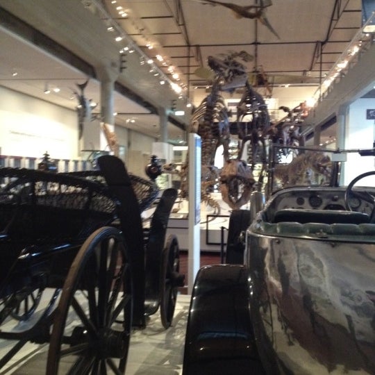 Photos at Queen Victoria Museum - Museum