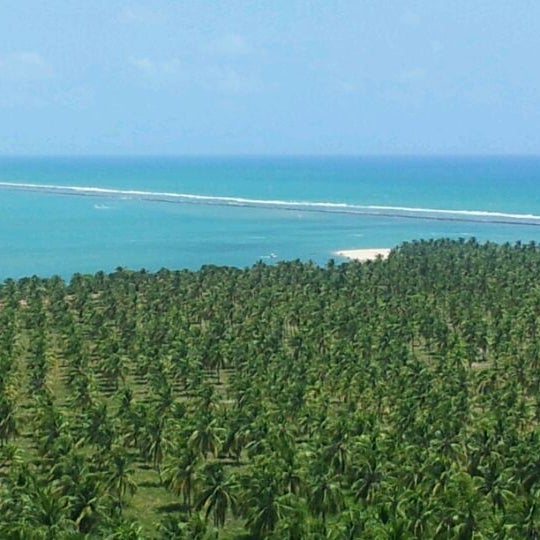 Mirante da Praia do Gunga - Scenic Lookout