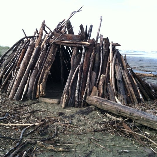 Seal Rock - 161 visitors