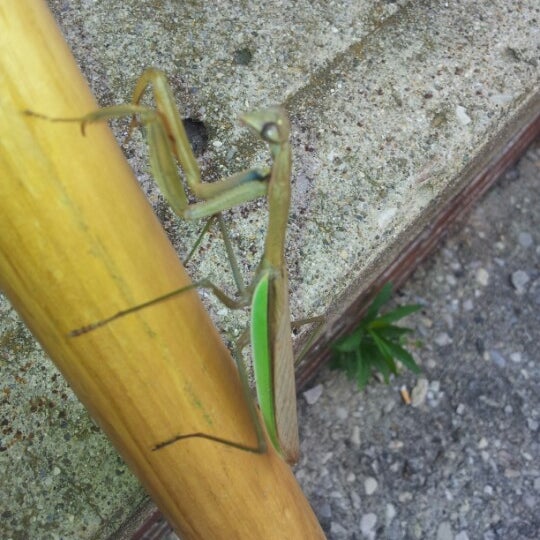 Xenos Christian Fellowship - Church in Columbus