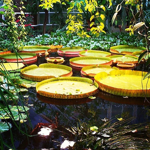 Botanisk Hage og Museum - Botanical Garden in Oslo