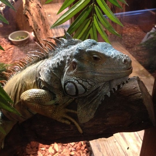 Winking Lizard Tavern - 60 tips from 4782 visitors