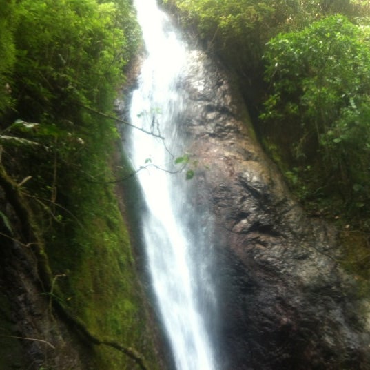 Cascada Velo De La Novia,Merida,Venezuela - Field