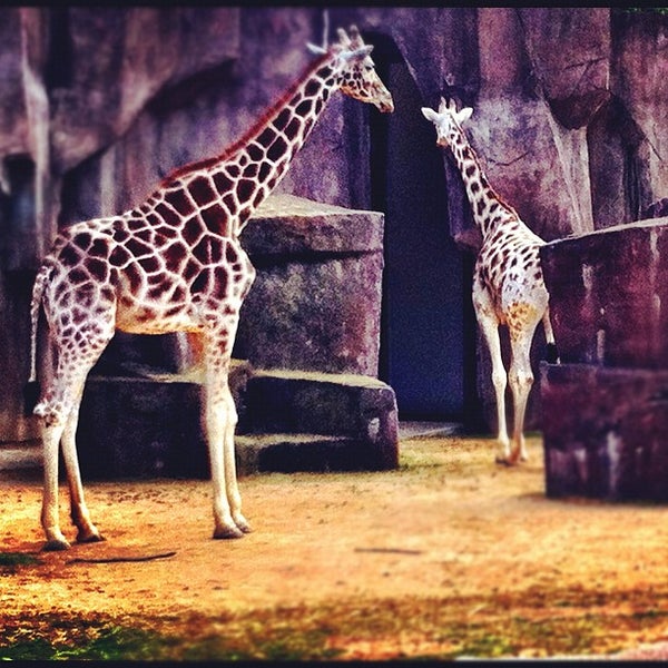 Milwaukee County Zoo - Zoo - 113 tips