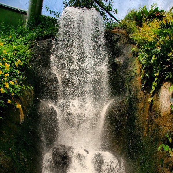 Rainforest Biome - 15 tips