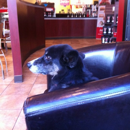 Photos at Java Moose Coffee House - Saint John, NB