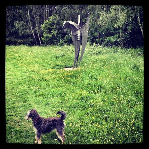 Canley Ford - Canley - Coventry, Coventry