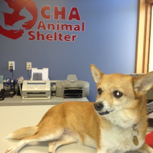 CHA Animal Shelter - 3765 Corporate Dr