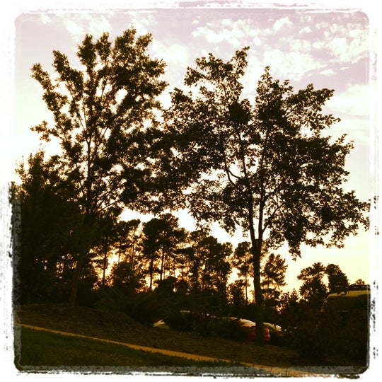 Photos at Davis Drive Park - Park in Cary