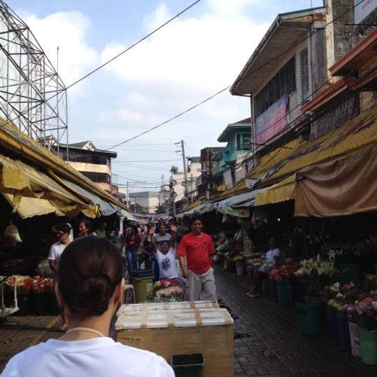 Dangwa Flower Market Map | Best Flower Site