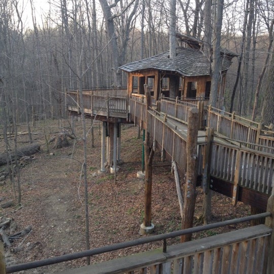 Mount Airy Forest Treehouse - Mount Airy - 62 visitors