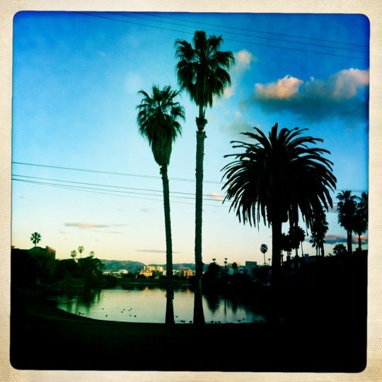 Del Rey Lagoon Park - 7 tips