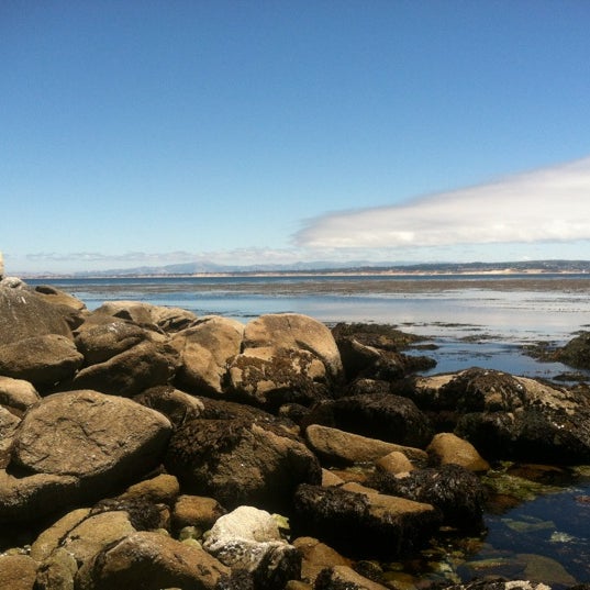 Photos at Lovers Point Park & Beach - Park in Pacific Grove