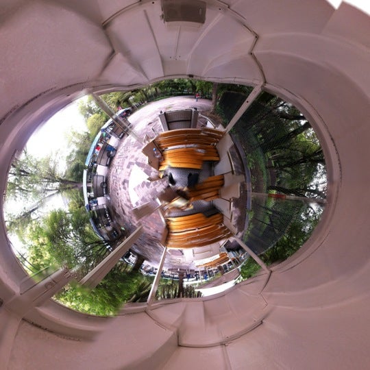 Tren escénico de chapultepec - Bosque de Chapultepec 1 - Primera ...