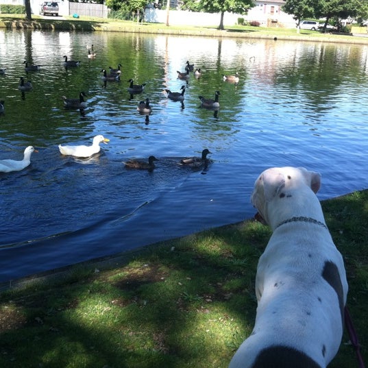Photos at Lindenhurst Fireman's Pavilion - Heling Boulevard