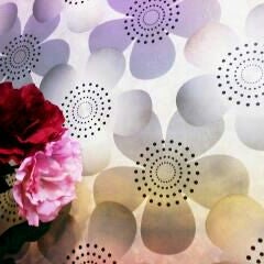 autumn showroom interior design - Design Studio