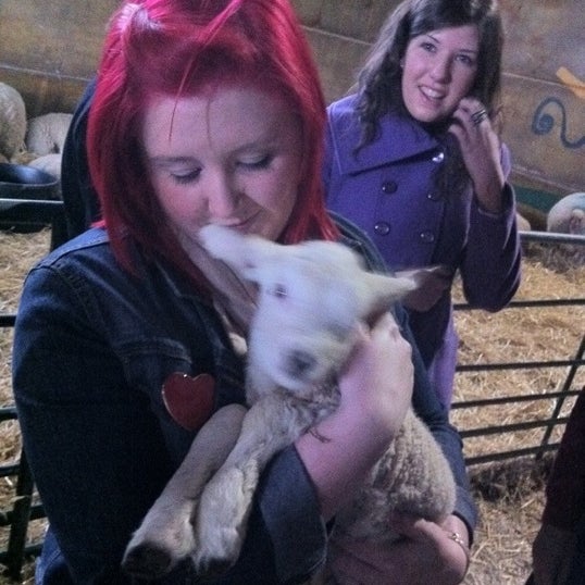 Photos at Our Cow Molly Dairy Ice Cream - Ice Cream Parlor