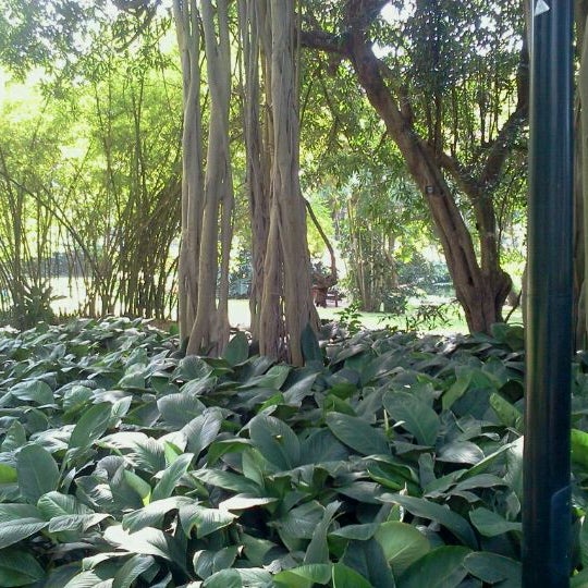 Durban Botanic Gardens - Garden in Durban