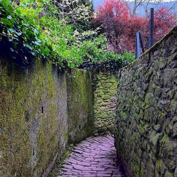 Philosophenweg - Heidelberg, Baden-Württemberg