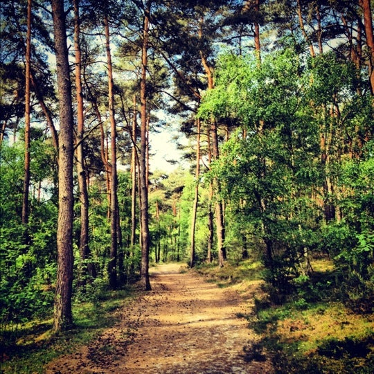 Brunssumerheide - 9 tips