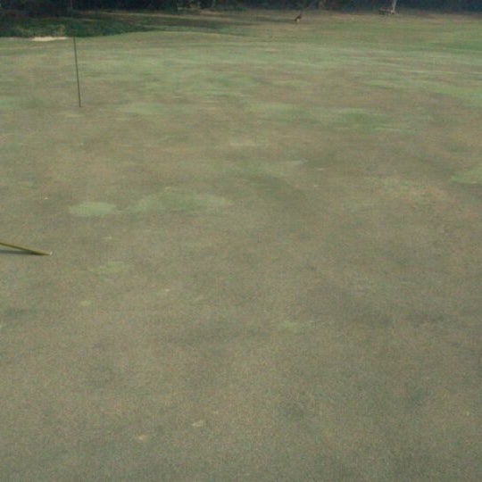 Photos at Royal Calcutta Golf Club (RCGC) - Golf Course in Kolkata