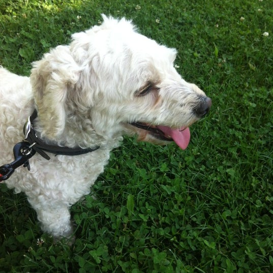 Photos at Creek Ridge County Park - 3 tips from 162 visitors