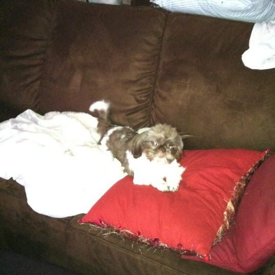 Hailey's Hideaway (Now Closed) - Murfreesboro, TN