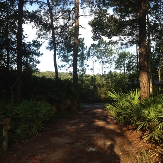 Photos at Robert W. Loftin Nature Trails at the University of North ...