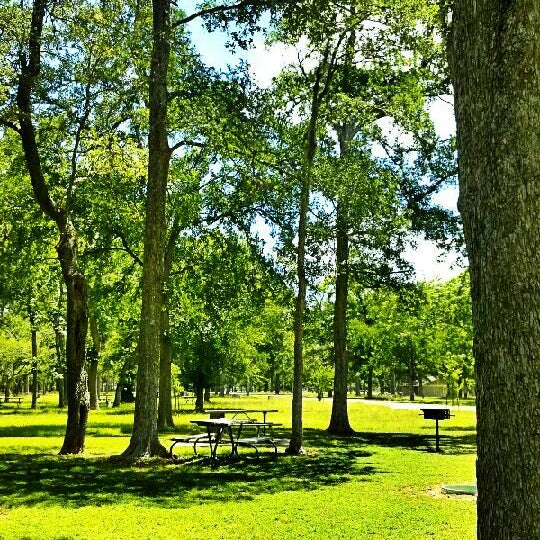 Photos at Stephen F. Austin State Park - Park Rd 38