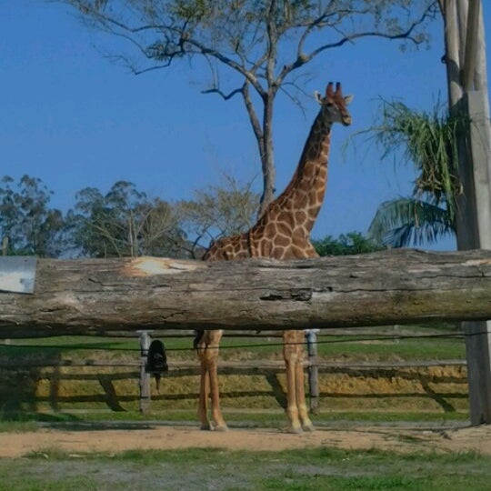Zoo de Pomerode - Zoo in Pomerode