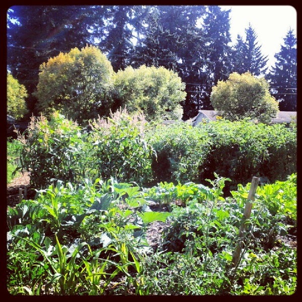 Photos at Ed Benedict Park - Park in Portland