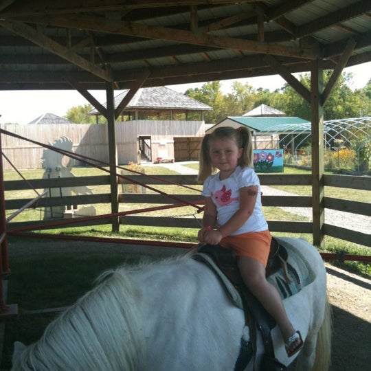 A maze'n Farmyard - Farm in Eden Valley