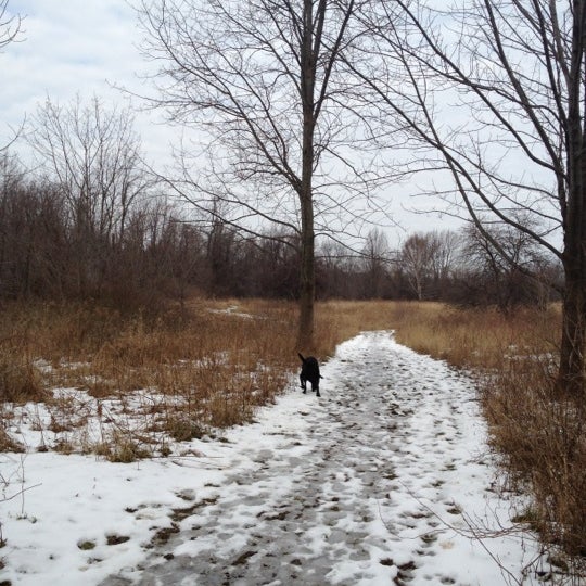 Photos at Whiting Road Nature Preserve - Hiking Trail in Webster