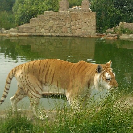 Isle Of Wight Zoo - Sandown, Isle of Wight