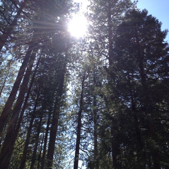 Fern Basin Campground - 2 tips from 30 visitors