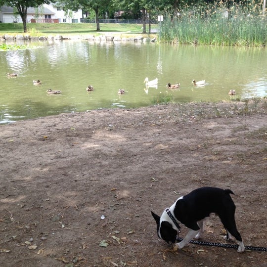 Photos at Red Sunset Park - Park in Gresham