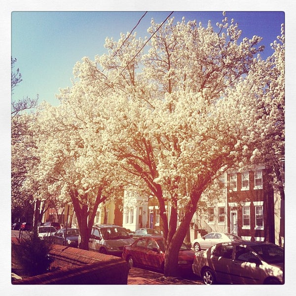 Alexandria Library - Kate Waller Barrett Branch - Braddock Road Metro ...
