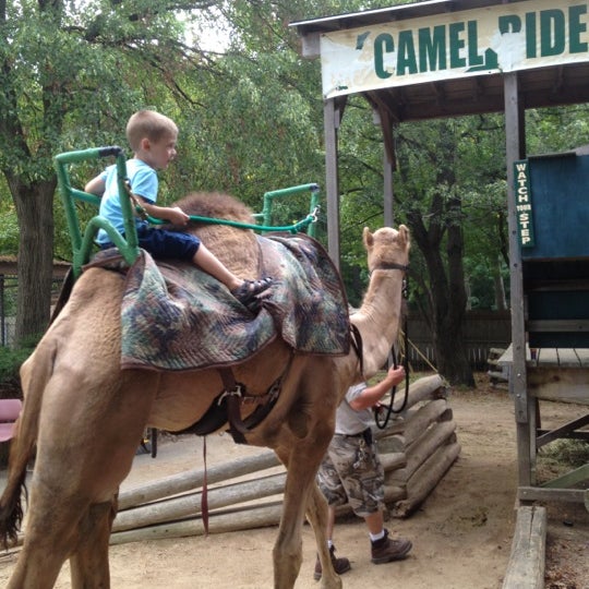 Milwaukee County Zoo Camel Ride