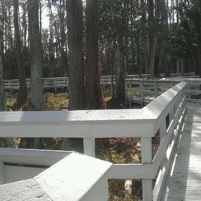 Photos at Demetree Park - Orlando, FL