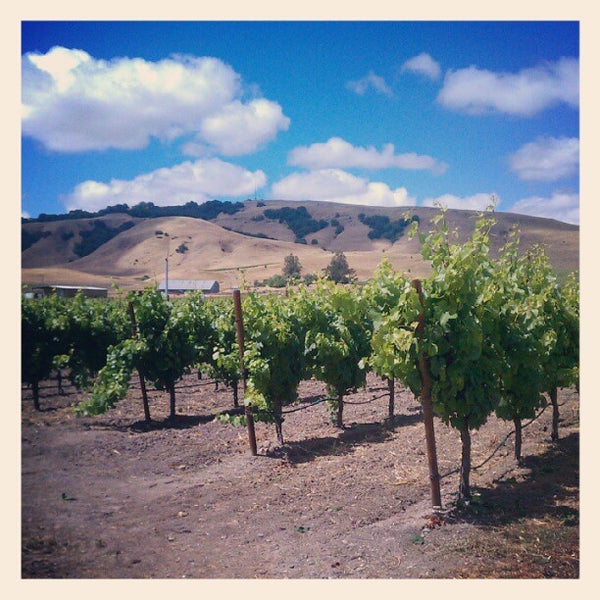 Robledo Family Winery - Sonoma, CA