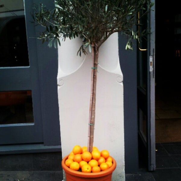 The Orange Tree - Pub