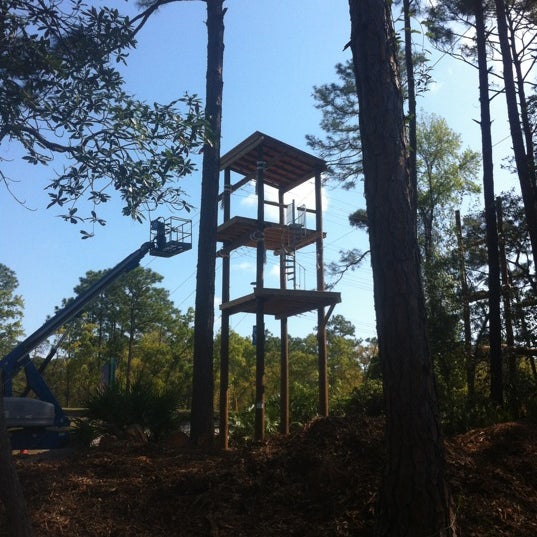 Photos at Robert W. Loftin Nature Trails at the University of North ...