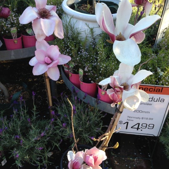 Flower Power - Garden Center